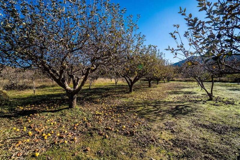 Private Psiloritis Mountain of Gods & Cooking Lesson - Why Travelers Love This Tour