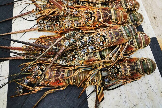 Private Puerto Plata Food Tour and Beach Chillout - Practical Tips for Travelers