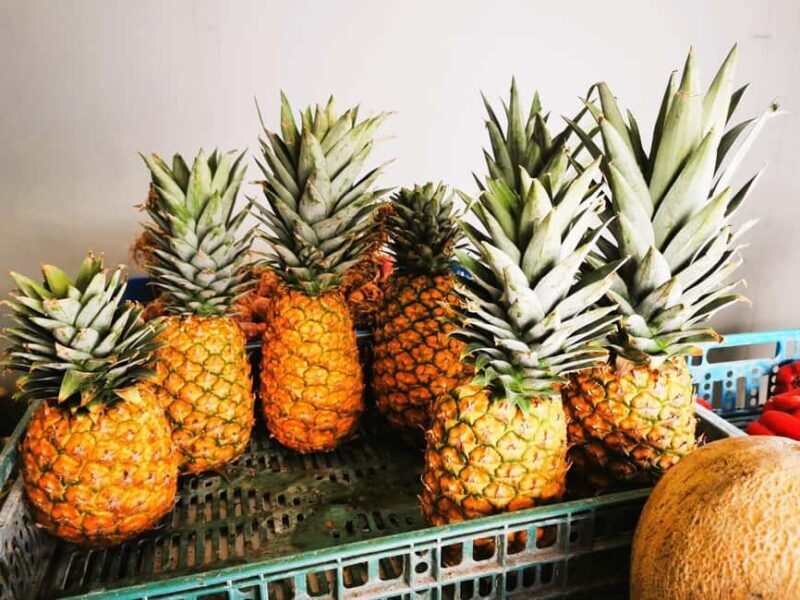 Private Puerto Plata Food Tour and Beach Chillout - Tasting the best of Dominican cuisine