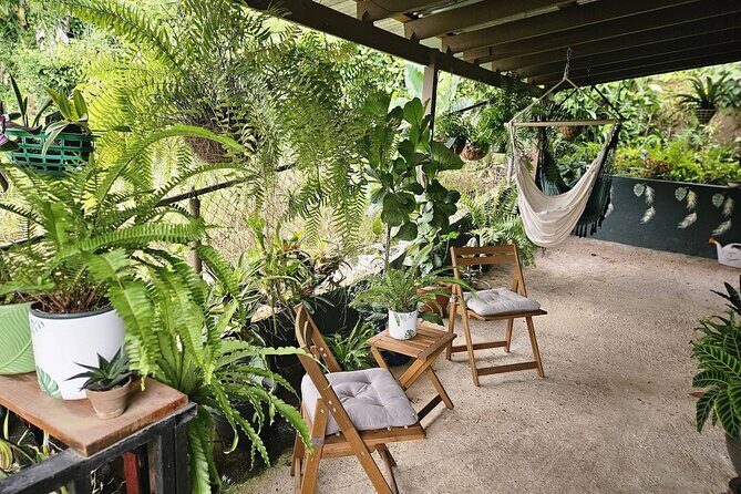 Private Puerto Rican Cooking Class with Cocktails Near San Juan - The Sum Up