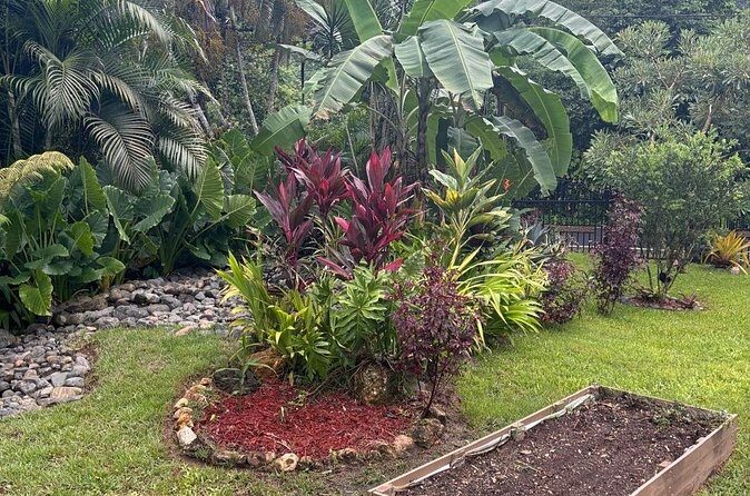 Private Puerto Rican Cooking Class with Cocktails Near San Juan - FAQs