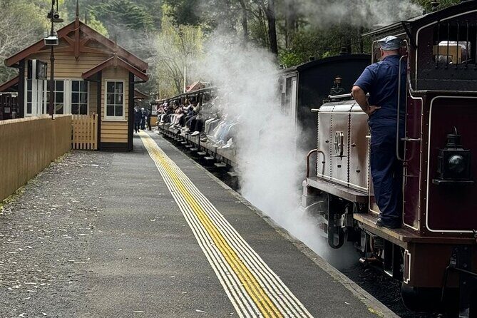 Private Puffing Billy Steam Train and Healesville Sanctuary Tours - A Detailed Look at the Private Puffing Billy Steam Train and Healesville Sanctuary Tours