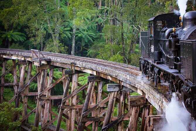 Private Puffing Billy Steam Train and Healesville Sanctuary Tours - Key Points