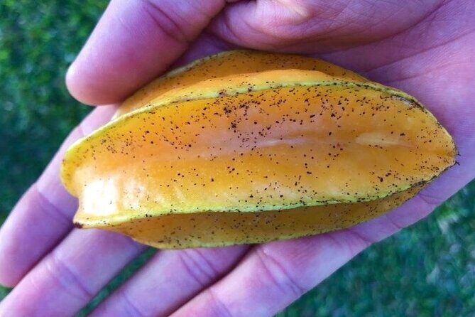 Private Punta Cana Beyond-the-Resort Local Life Tour - FAQs