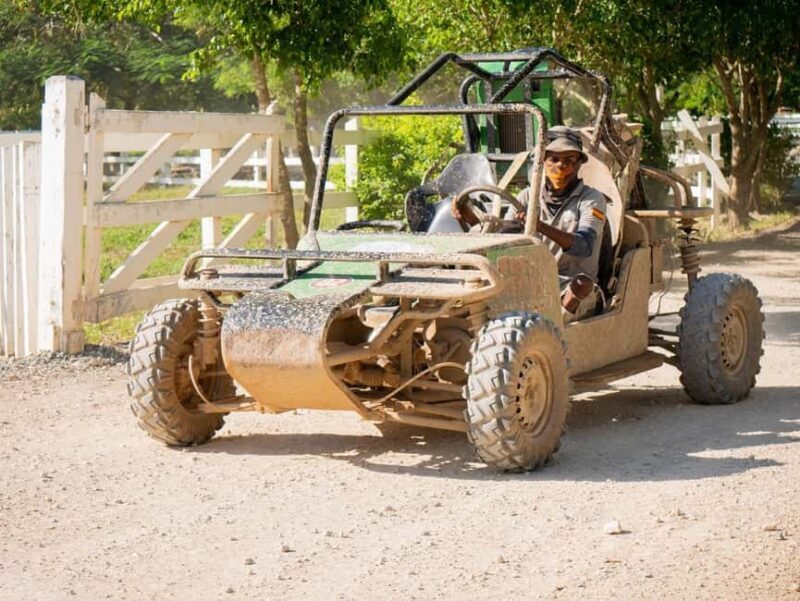 Private: Punta Cana: Dune Buggy Tour with Cenote Swim - Why Choose This Tour?