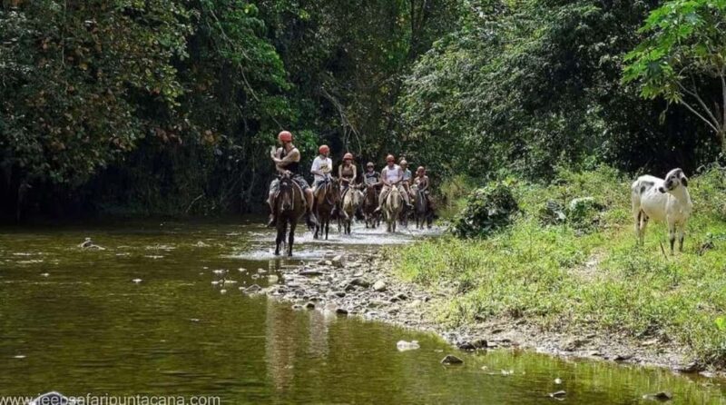 Private Punta Cana Full-Day Safari & Nature Adventure - A Day in the Dominican Countryside