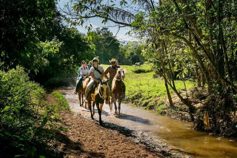 Private: Punta Cana: Horseback Riding Tour with Sunset - The Itinerary and Its Highlights