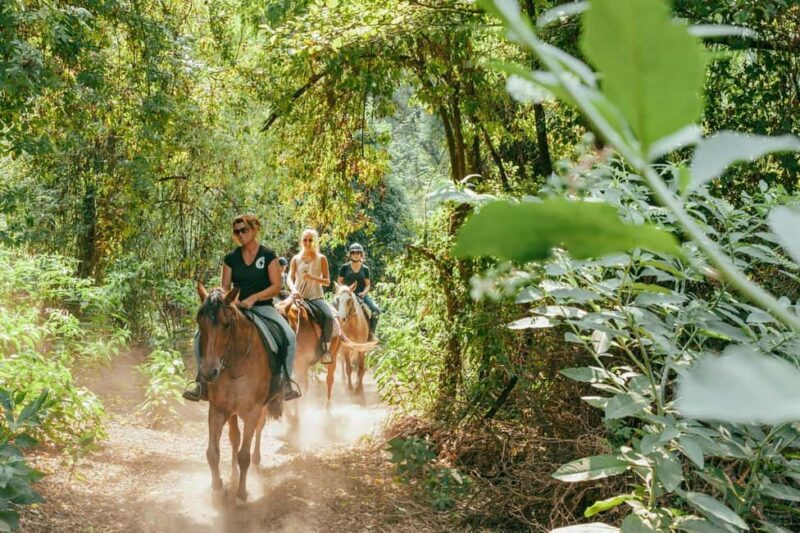 Private: Punta Cana: Horseback Riding Tour with Sunset - The Scenic Ride