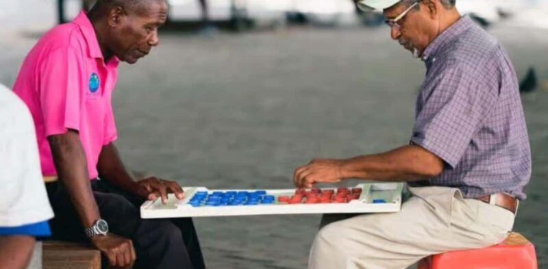 Private: Punta Cana Santo Domingo Day Trip with Lunch - The Sum Up