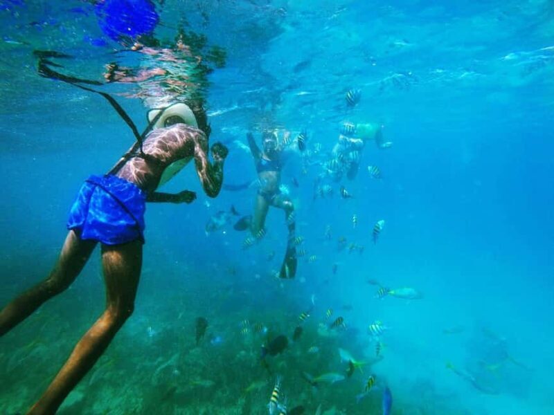 Private: Punta Cana to Catalina: Snorkeling, Beach & Buffet - Authenticity and Traveler Experience