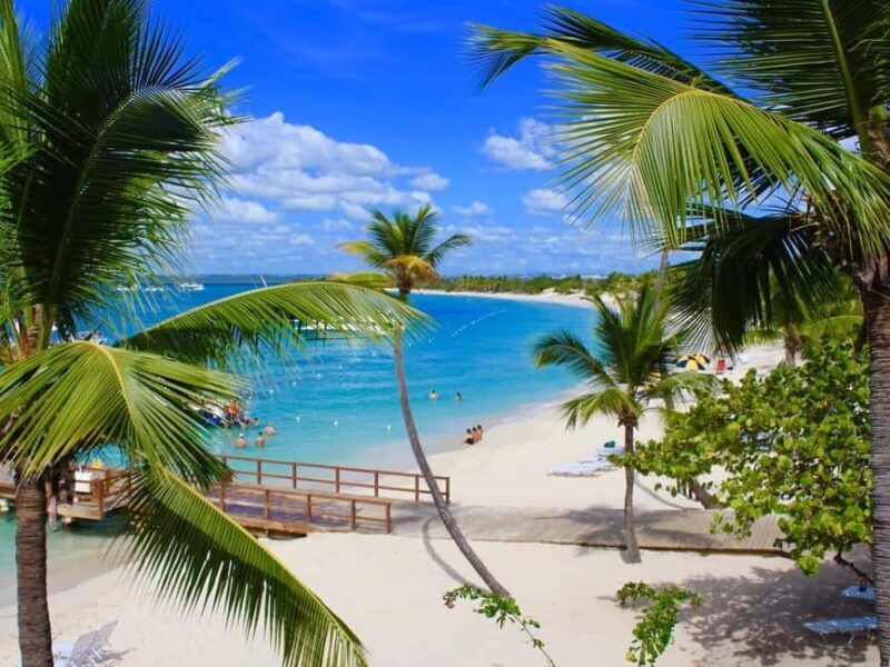 Private: Punta Cana to Catalina: Snorkeling, Beach & Buffet - The Sum Up