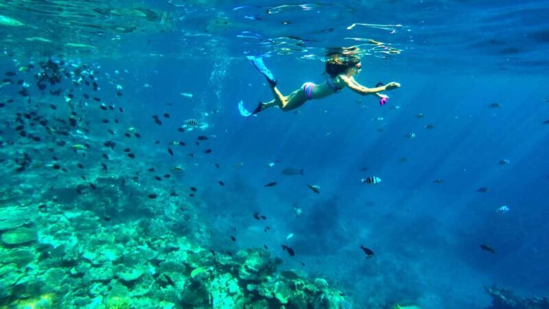 Private: Punta Cana to Catalina: Snorkeling, Beach & Buffet - FAQ