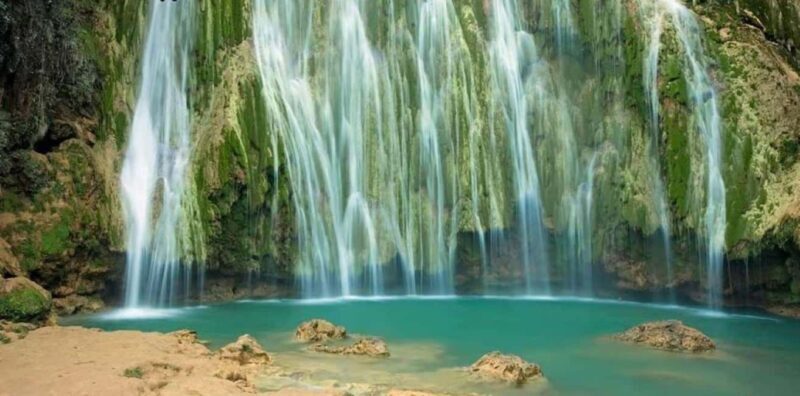 Private: Punta Cana Whale Watching Bacardí Island Adventure - What We Appreciated and What to Watch Out For