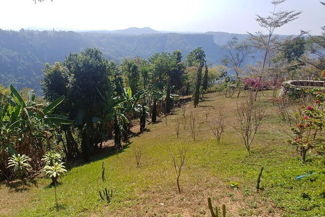 Private Pyin Oo Lwin Day Return Tour - Overview and Practicalities