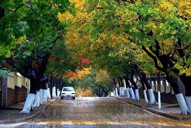 Private Qingdao Essentials Tour: City Highlights and Beer Museum - A Deep Dive into the Highlights