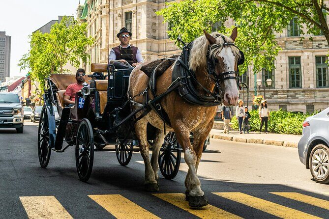 Private Québec City Highlights 3 Hour Walking Tour - The Sum Up: Who Should Sign Up?