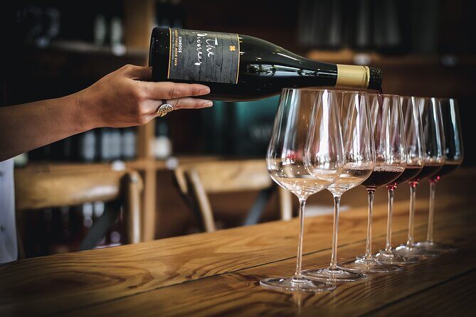 Private Queenstown Wine Tour All-Inclusive Tour - The Sum Up: Is This Tour Right for You?