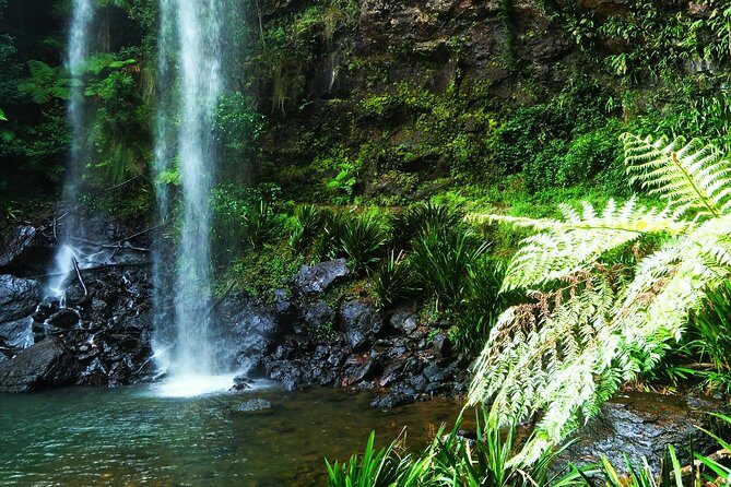 Private Rainforest & Wildlife Tour - Build Your Own Experience - The Sum Up