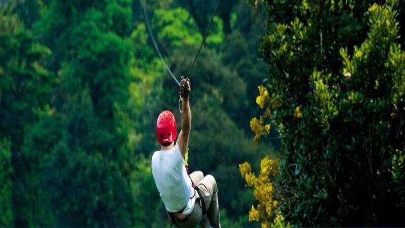 Private: Rainforest Ziplining Adventure in Anamuya - Introduction: A Balanced Look at a Thrilling Rainforest Experience