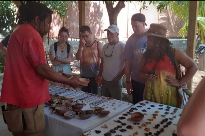 Private Rastafarian Indigenous Village Tour from Montego Bay - A Deep Dive into the Rastafari Indigenous Village Experience
