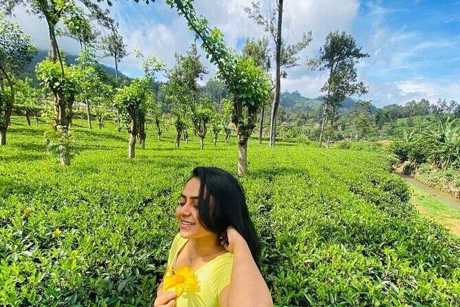 Private Ravana Falls and Nine Arches Bridge Ella Tour from Galle - Who Should Consider This Tour?