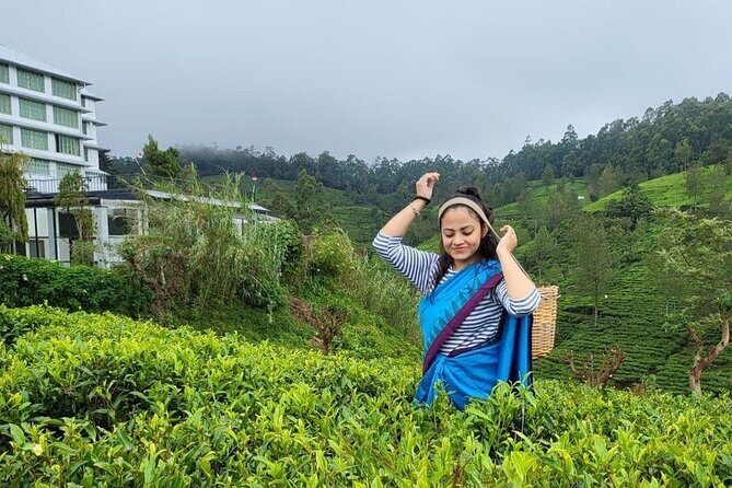 Private Ravana Falls and Nine Arches Bridge Ella Tour from Galle - FAQ