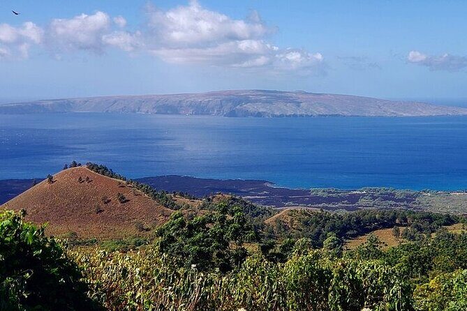 Private Redwood Forest Hiking Tour - A Closer Look at the Tour Itinerary