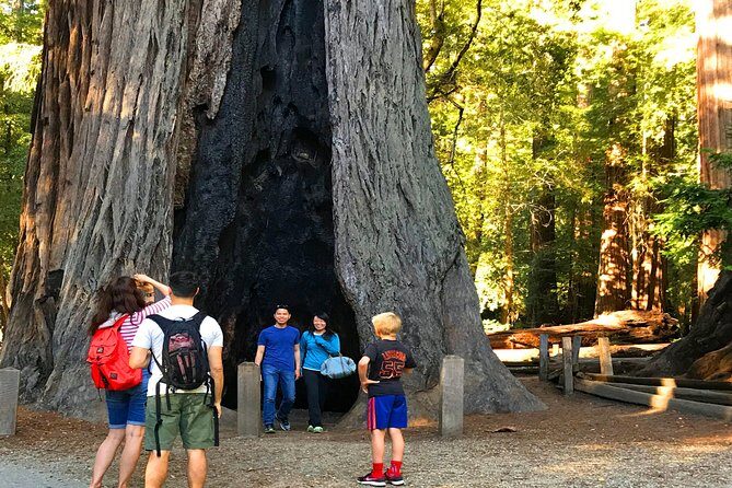 Private Redwoods Tour & Beach Horseback Riding Experience from San Francisco - A Deep Dive into the Experience