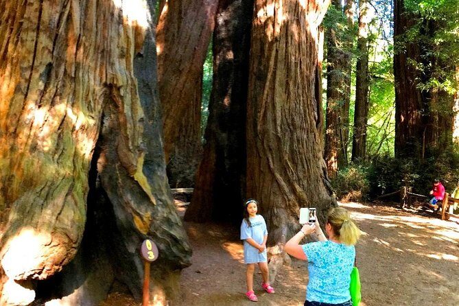 Private Redwoods Tour & Beach Horseback Riding Experience from San Francisco - FAQs