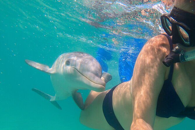 Private Reef, Beach and Sandbar Tour from Providenciales - Why Choose This Tour?