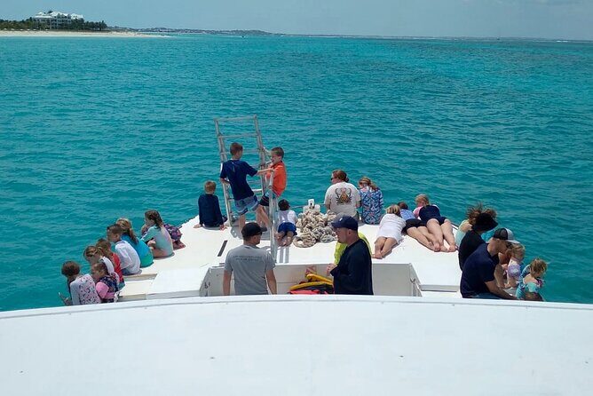 Private Reef, Beach and Sandbar Tour from Providenciales - The Experience of a Lifetime?