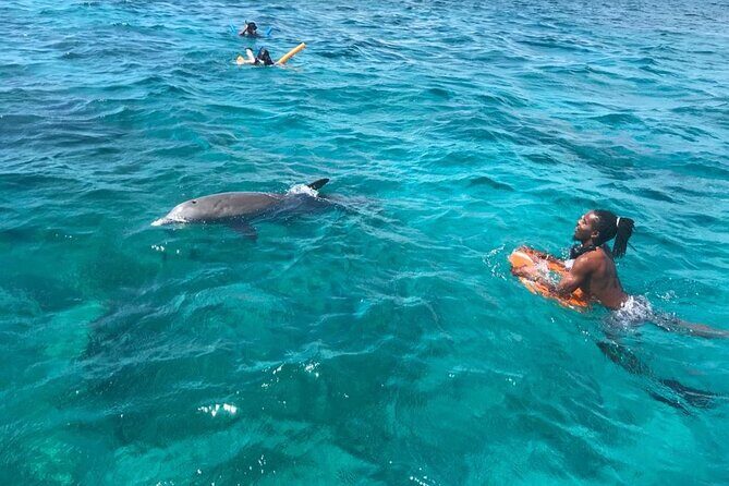 Private Reef, Beach and Sandbar Tour from Providenciales - Who Will Love This Tour?