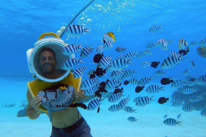 Private Reef Discovery Luxury Dream Day Tour in Bora Bora - Itinerary Breakdown: What Makes Each Part Special