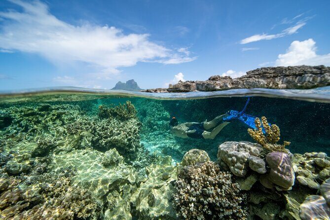 Private Reef Discovery Luxury Dream Day Tour in Bora Bora - Final Thoughts