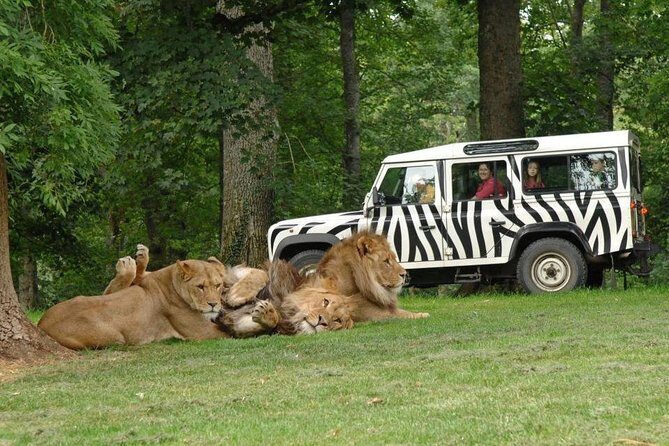 Private Return Transfer Thoiry Zoo Safari from Paris - Key Points