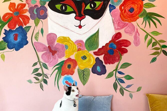 Private Reykjavik Cat Walking Tour - The Value of This Cat-Themed Tour