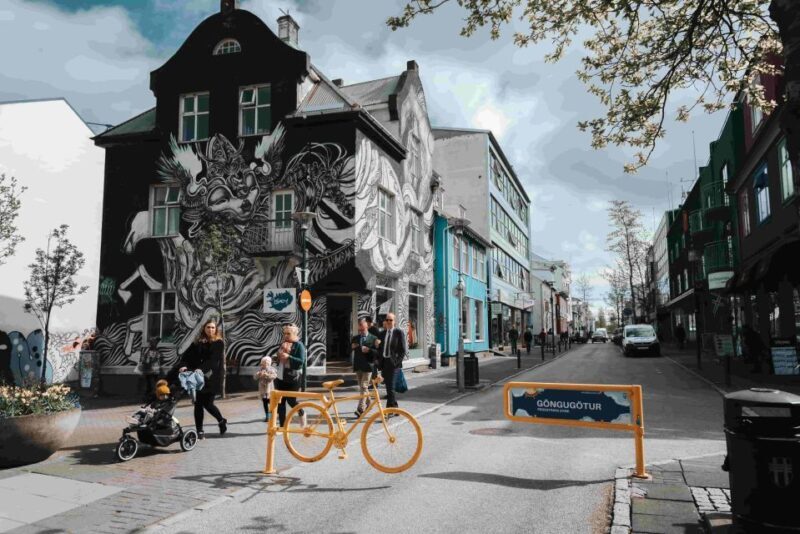 Private Reykjavik Shopping & Sightseeing Walking Tour - Key Points