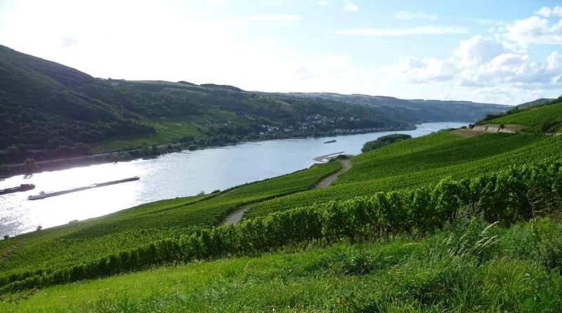 Private Rhine Valley tour with river cruise & wine tasting - Exploring the Rhine Valley: A Private Tour with Cruise & Wine Tasting
