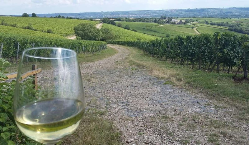Private Rhine Valley tour with river cruise & wine tasting - Who Would Love This Tour?