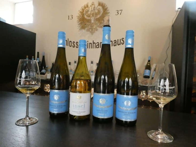 Private Rhine Valley tour with river cruise & wine tasting - Final Thoughts