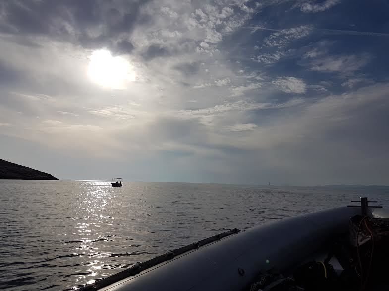 Private Rib Cruise to Poseidon Temple at Sounio Cape - An Edelweiss of Coastal Adventures
