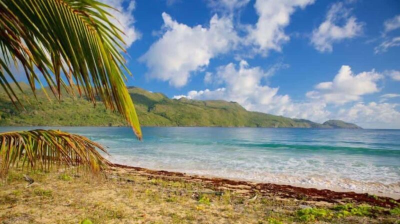 Private Rincón Beach & Bacardi Island from Punta Cana - Exploring the Route and Itinerary