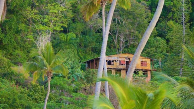 Private Rincón Beach & Bacardi Island from Punta Cana - Final Thoughts: Is It Worth It?