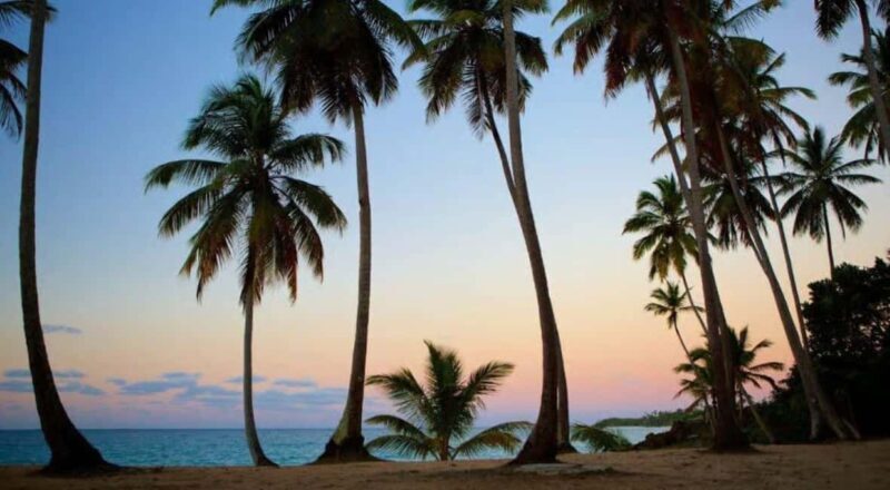 Private Rincón Beach & Bacardi Island from Punta Cana - FAQs