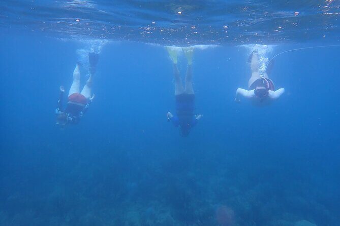 Private Rincon Snorkeling Adventure - Real Experiences from Travelers