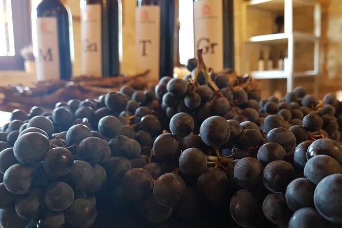 Private Rioja Wine Tasting Tour from San Sebastian - Final Thoughts