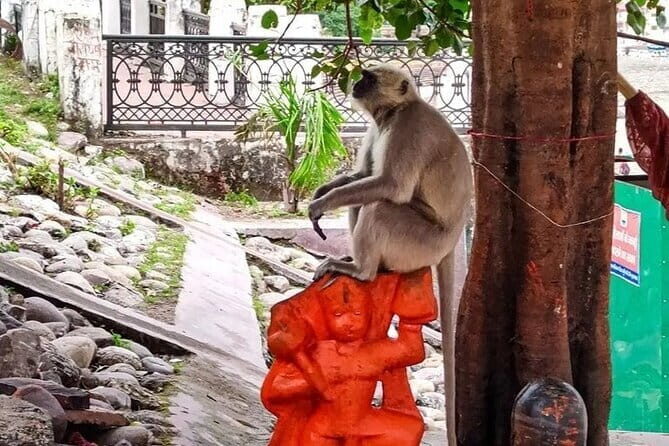 Private Rishikesh Tour From Delhi - The Value of This Experience