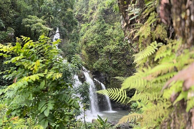 Private Road to Hana Maui Open-Air Jeep Tour - Analyzing the Value
