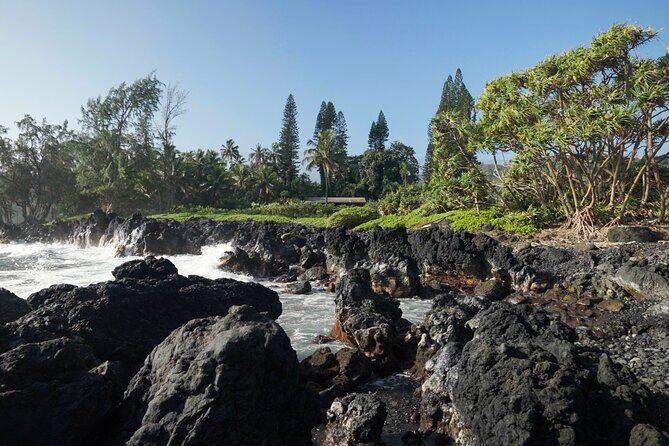 Private Road to Hana Rainforest & Waterfall Experience from Maui - A Personalized Journey on Maui’s Famous Hana Highway