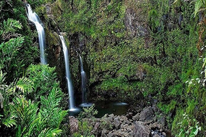 Private Road to Hana Rainforest & Waterfall Experience from Maui - The Itinerary: How the Day Unfolds